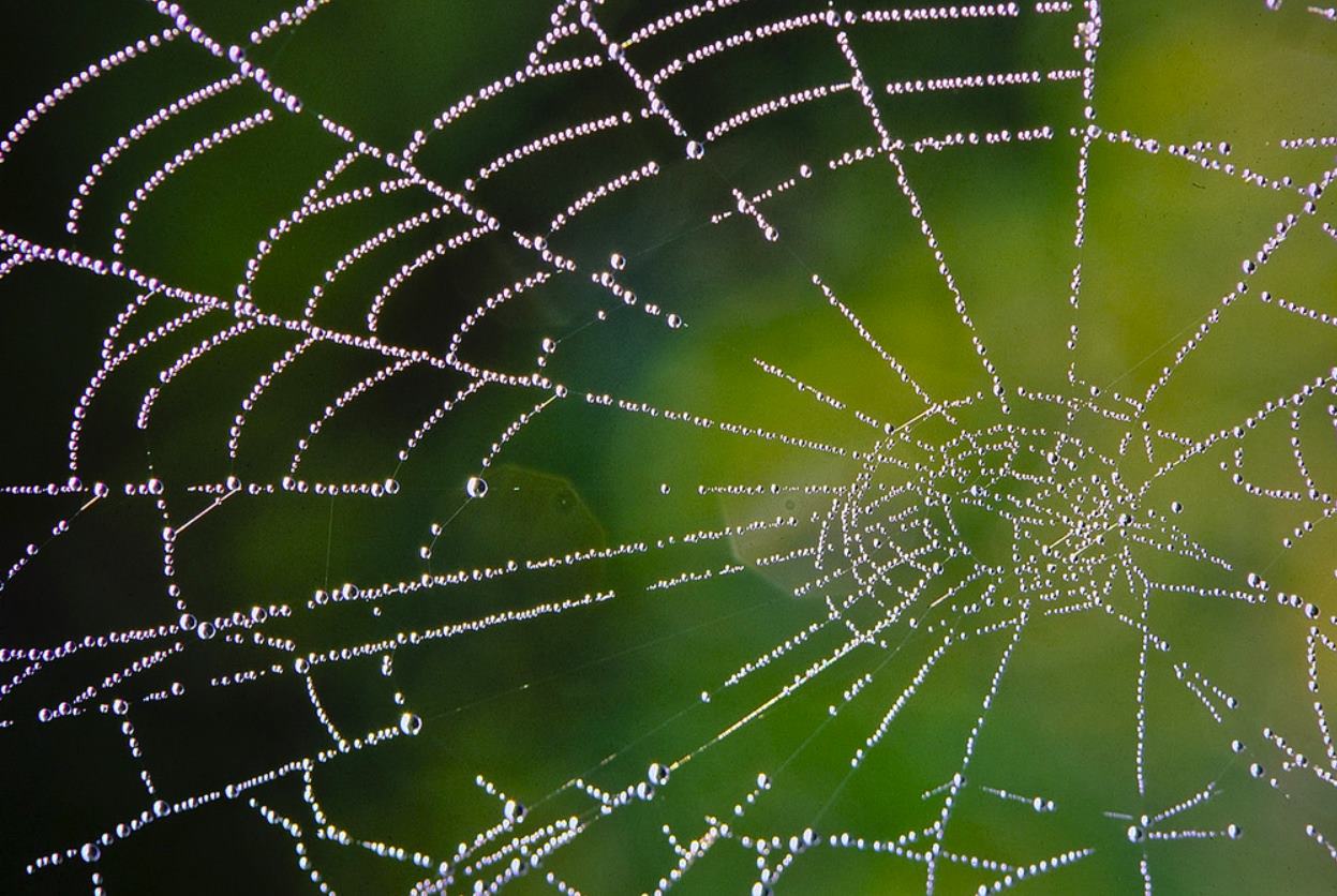 The Rise of Fluid Networks:- Fluid Radio, Fluid Core, Fluid Transport ...